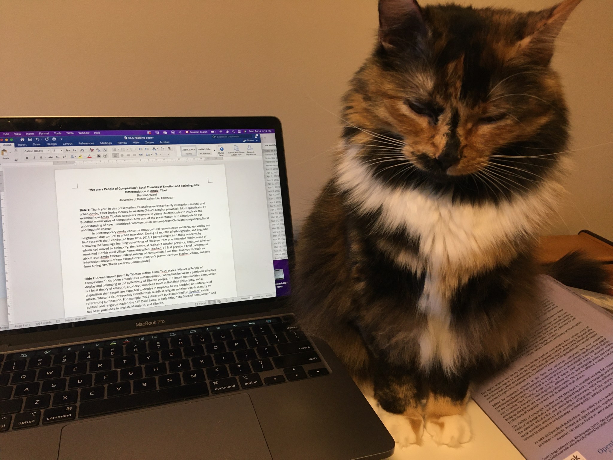 I’m an Anthropologist! – Shannon M. Ward, Ph.D.